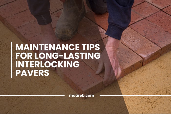 The Importance of Regular Electrical Maintenance